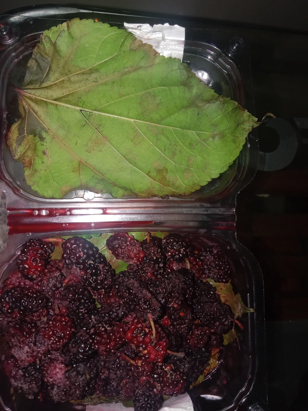 Fresh Mulberry, 125 g : Amazon.in: Grocery & Gourmet Foods