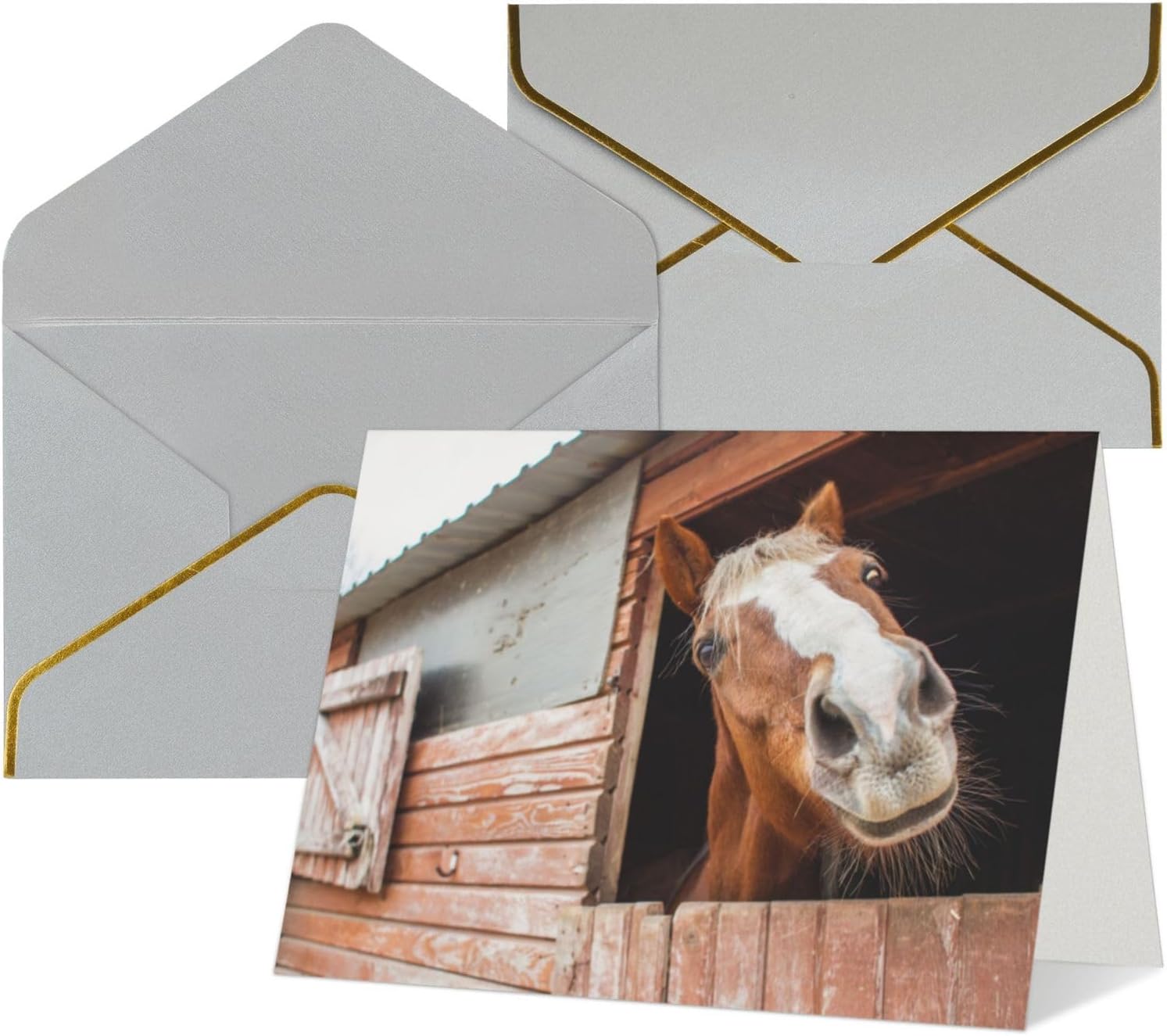 Amazon.com : Funny Horse In The Stall Thank You Cards With Envelopes ...