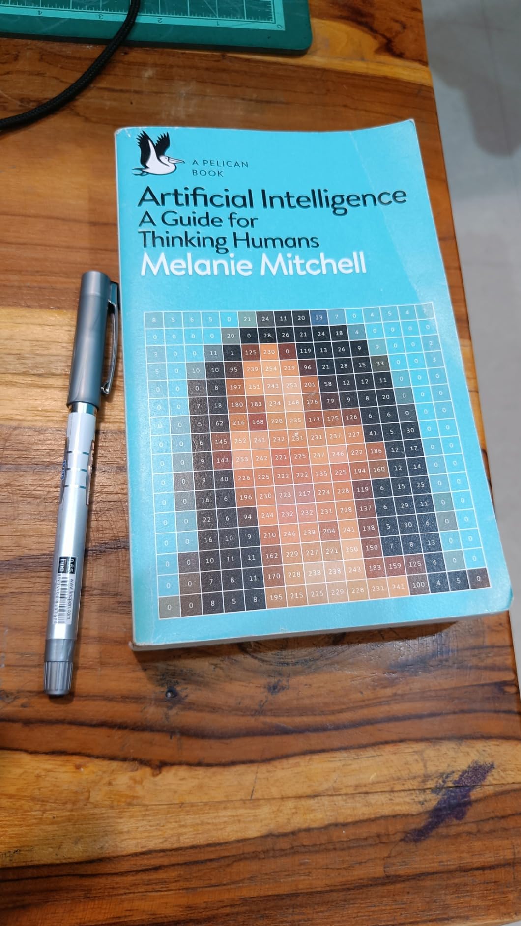 Buy Artificial Intelligence: A Guide for Thinking Humans Book Online at ...