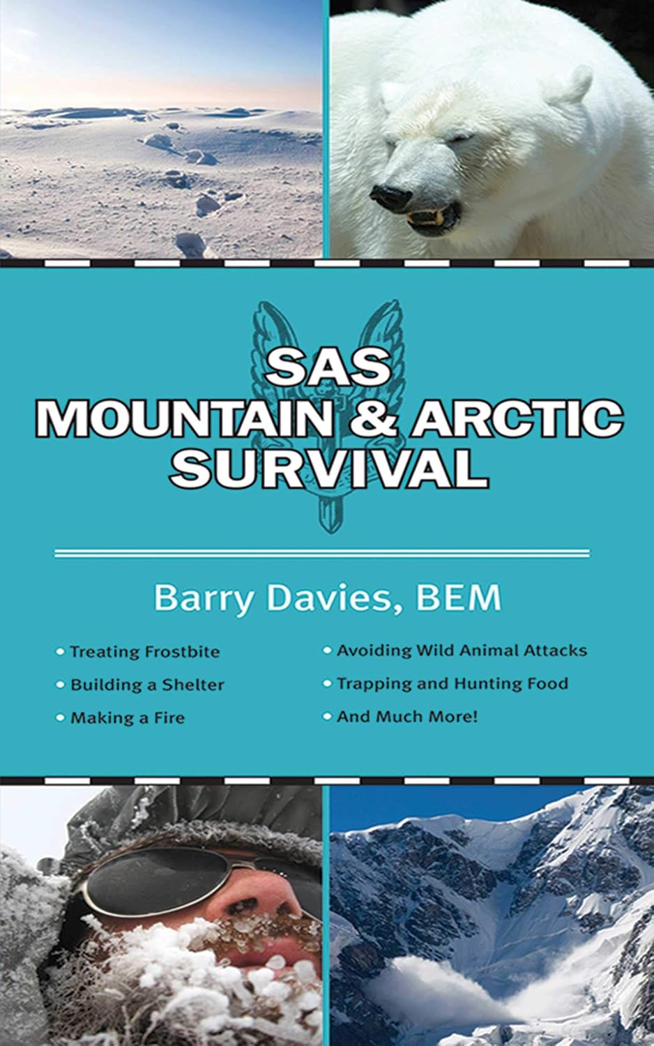 SAS Mountain and Arctic Survival: Davies, Barry: 9781620872062: Amazon ...