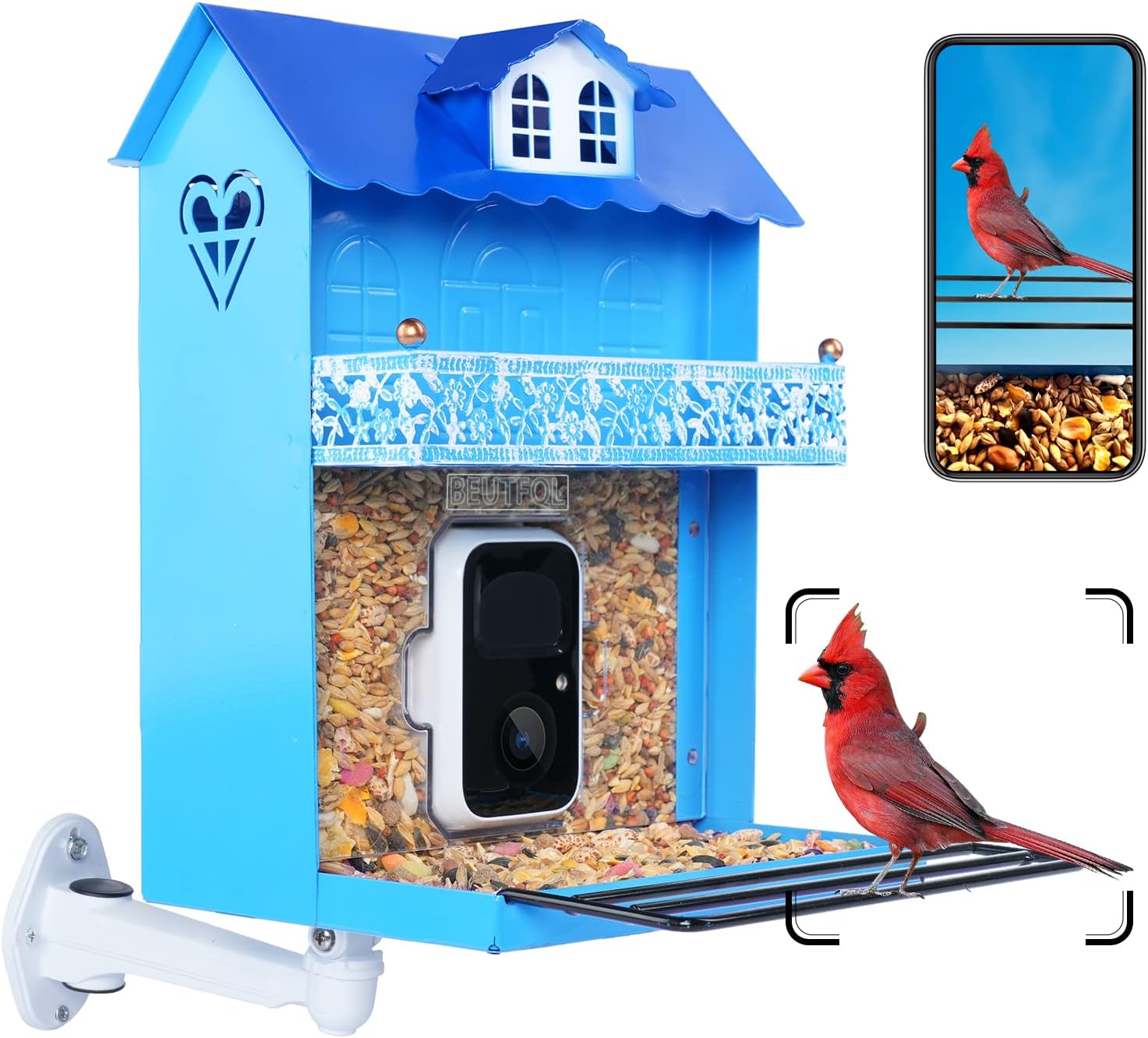 Amazon.com : Smart Bird Feeder with Camera.Metal Bird Watching Camera ...