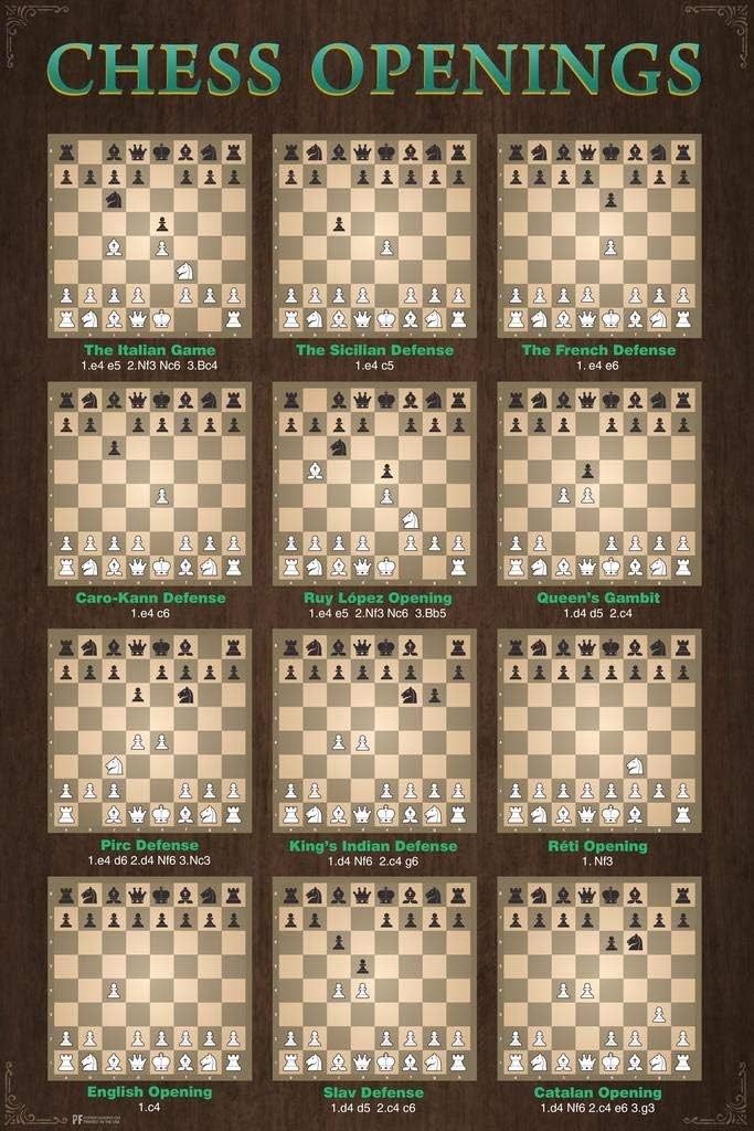 Amazon.com: Chess Openings Game Room Decor Chart Moves Defense Cool ...