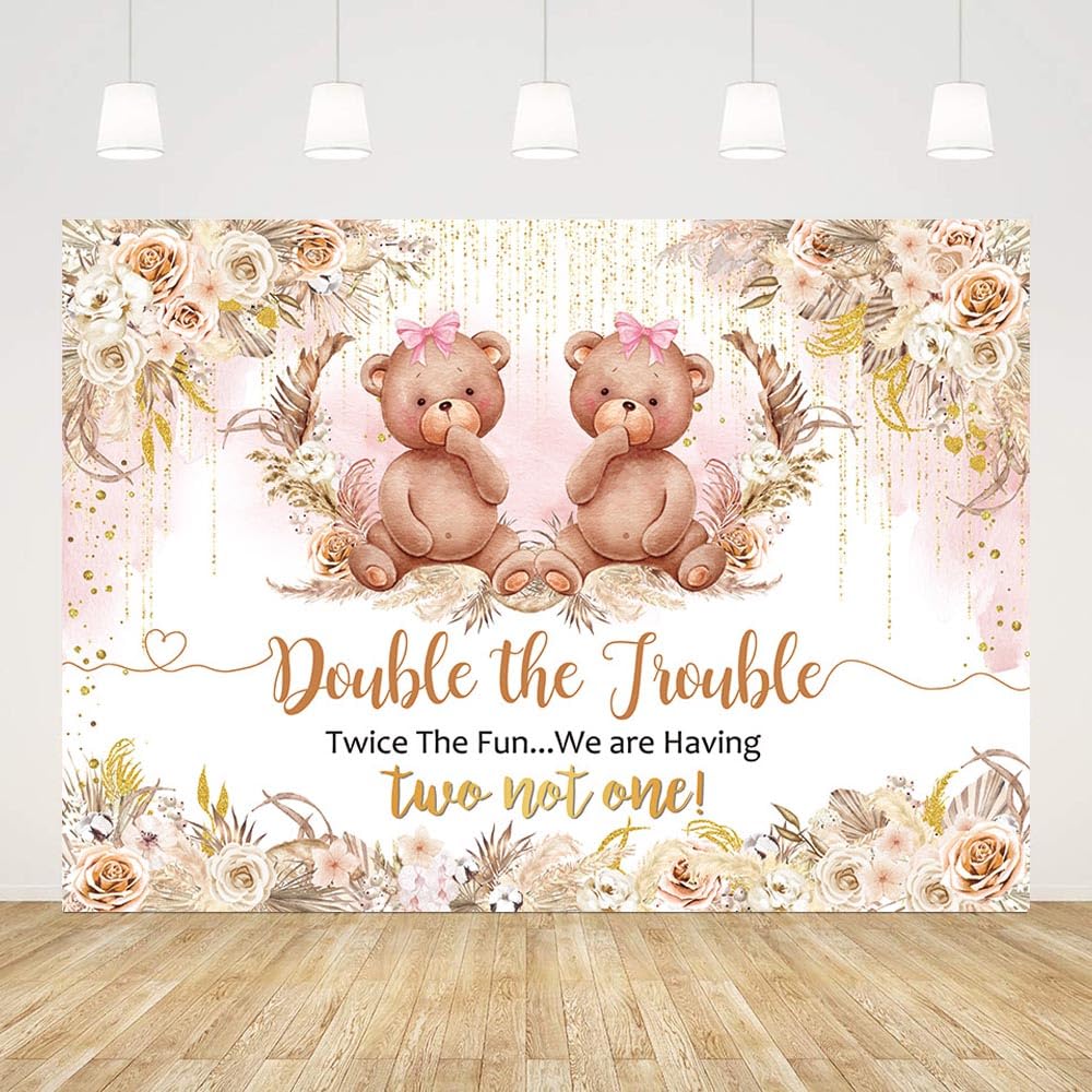 7x5ft Double The Trouble Twice The Fun We are Having Two Not One Baby ...