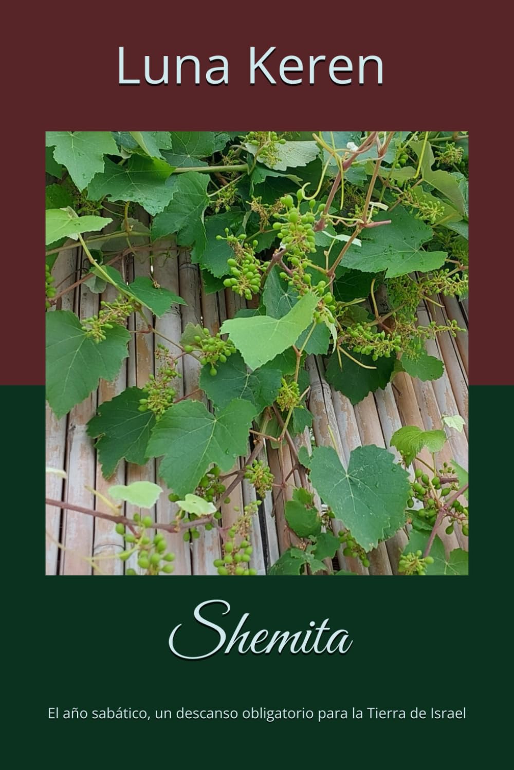 Shemita: El año sabático, un descanso obligatorio para la Tierra de ...