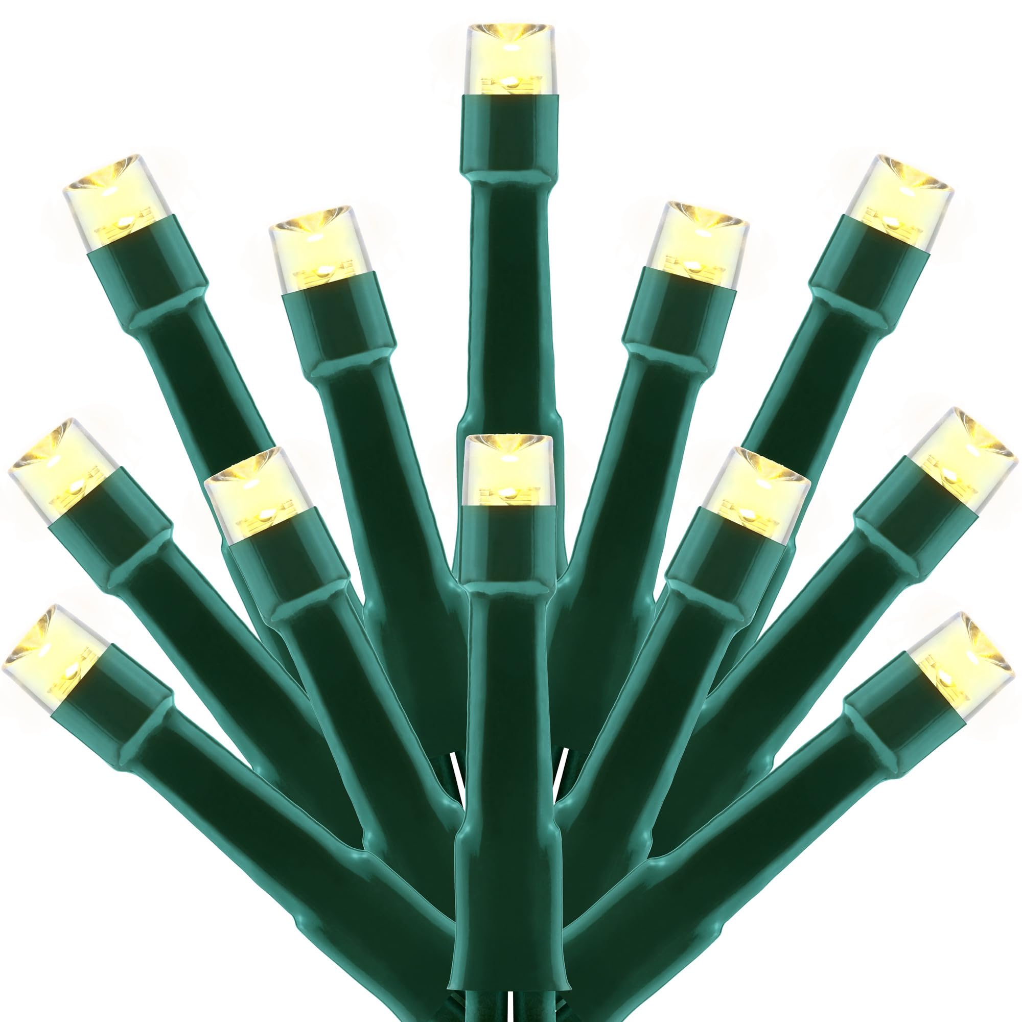 Amazon.com: SWEET SHINE 300 Count Warm White Christmas Lights, 100 Feet ...