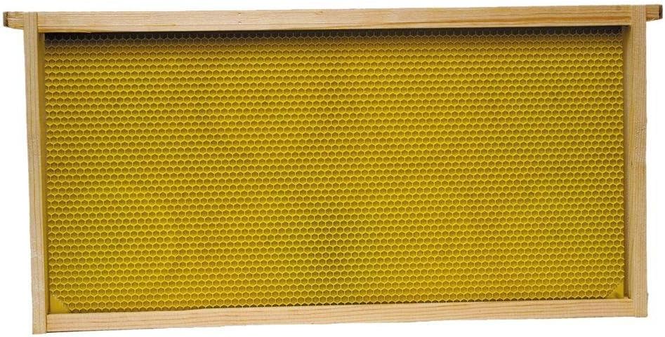 The 10 Best Bee Hive Frames for More Honey in 2025 - SWF Bees