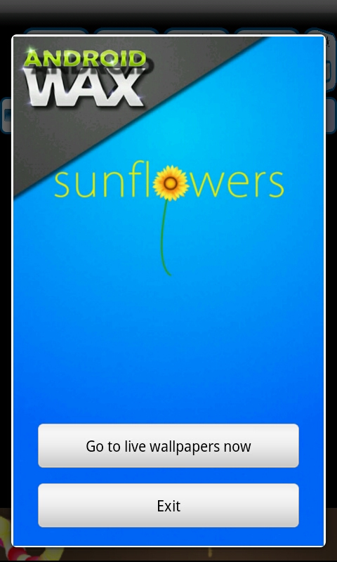 Sunflowers Free Live Wallpaper - App on Amazon Appstore