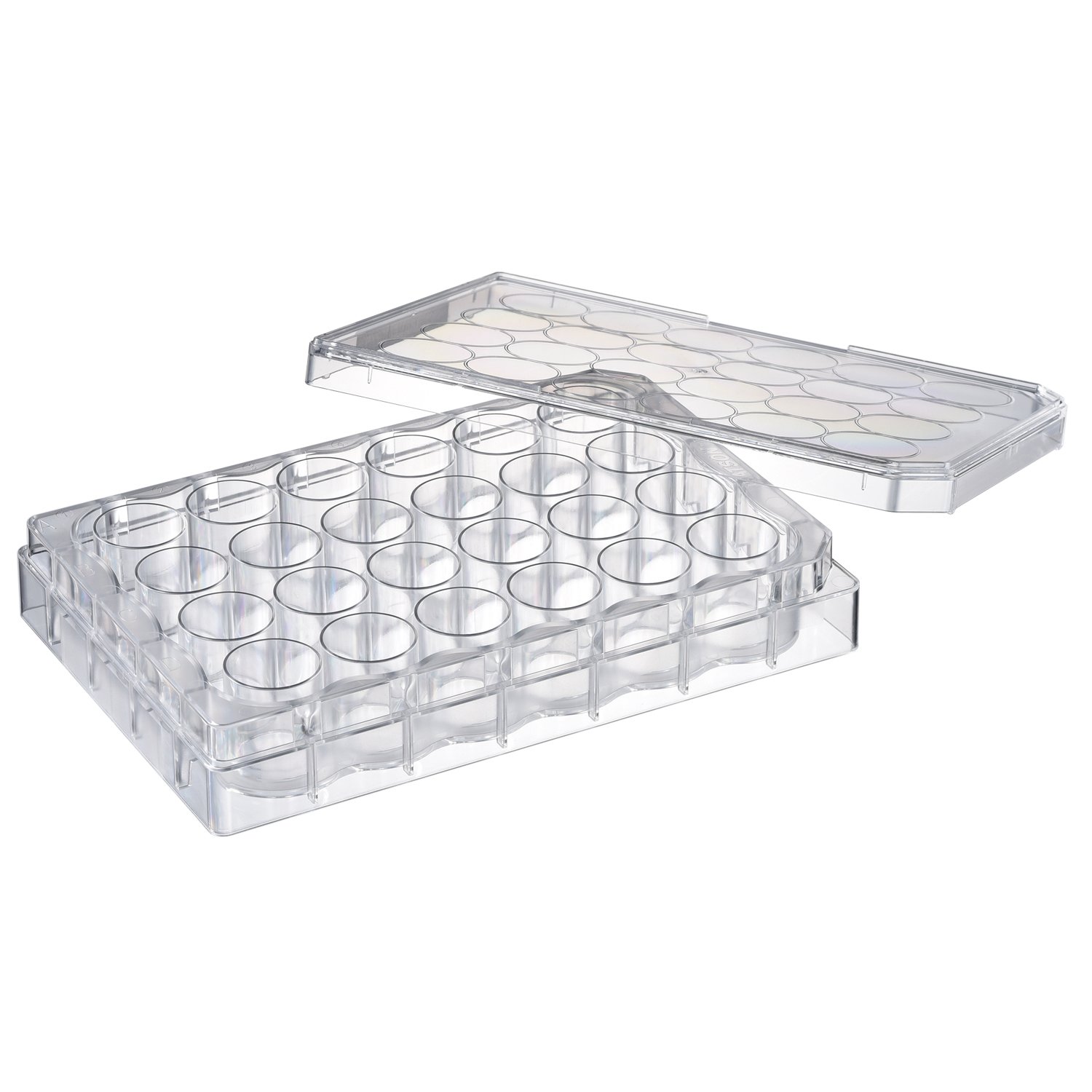 Watson Bio Lab 197-24CPS Cell Culture Plate 24-Well, Made-in-Kobe/Japan ...