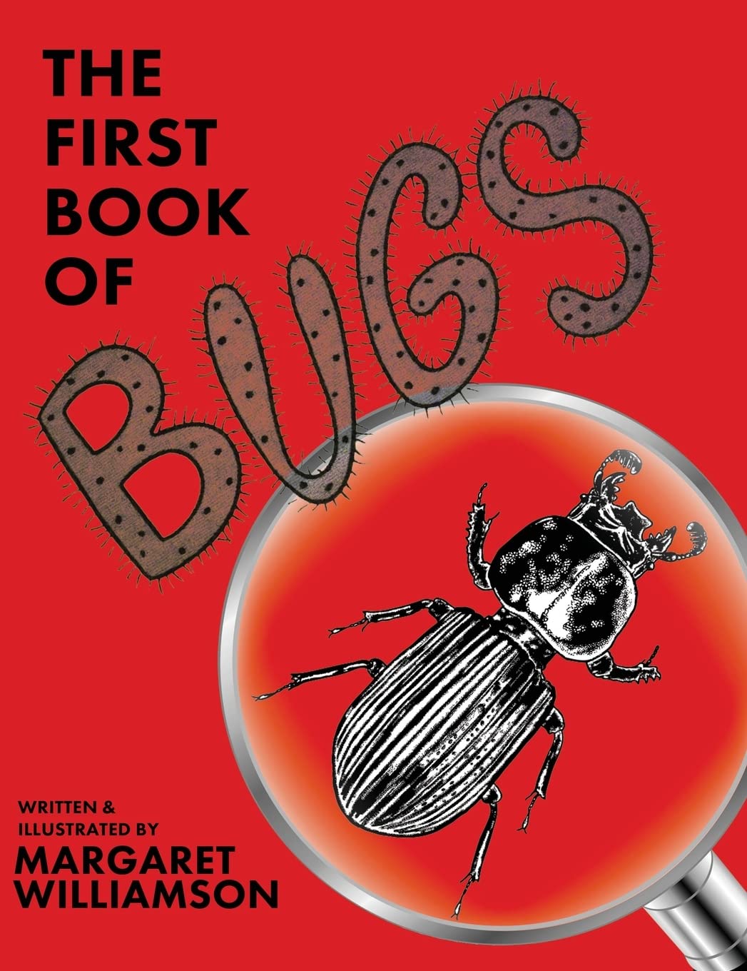 The First Book of Bugs: Williamson, Margaret: 9781922950734: Amazon.com ...