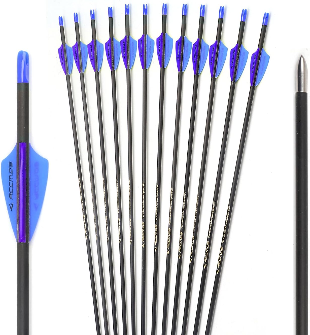 Amazon.com: 12pc 25-Inch 1300-Spine Arrow Non-Removable Tips Targeting ...