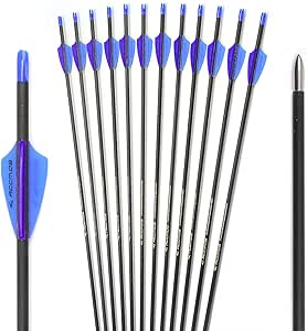 Amazon.com: 12pc 25-Inch 300-Spine Arrow Non-Removable Tips Targeting ...
