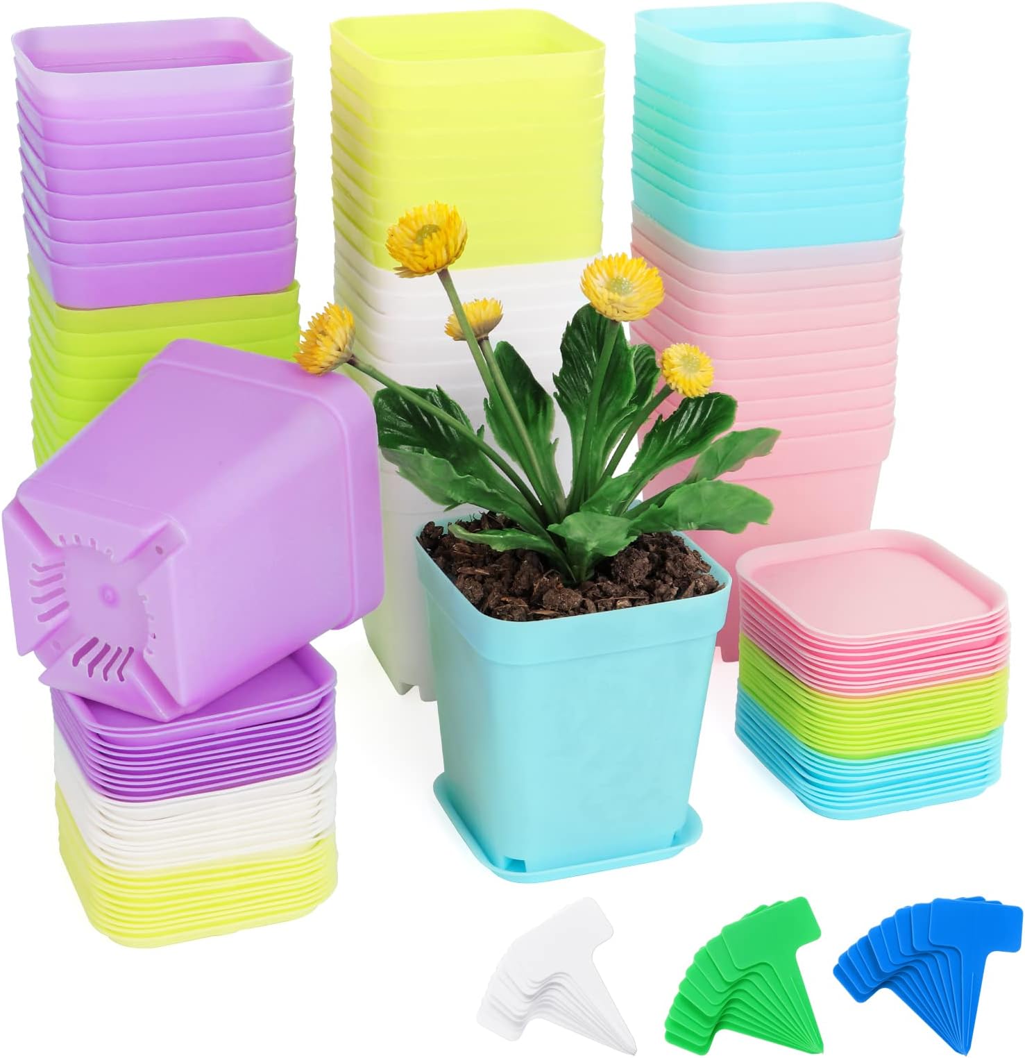 URCHUZE 60Pcs Square Plant Pots, 7cm Thicken Plastic Flower Pots ...