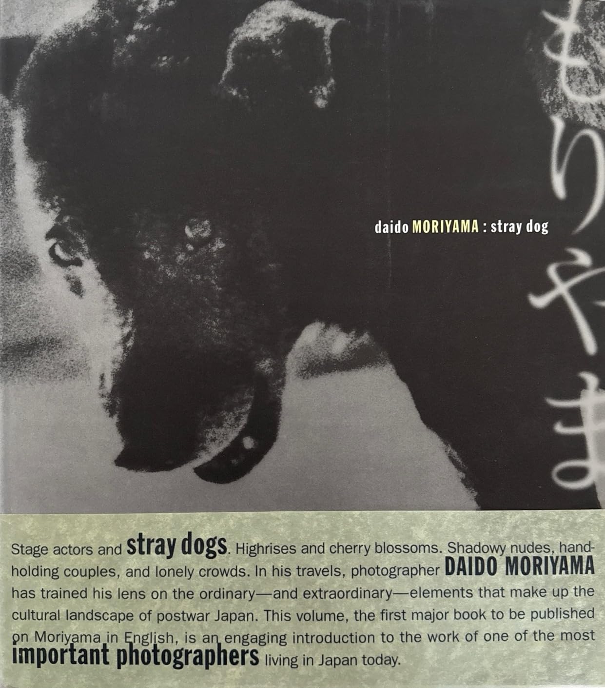 Amazon.com: Daido Moriyama: Stray Dog: 9780918471505: Alexandra Munroe ...