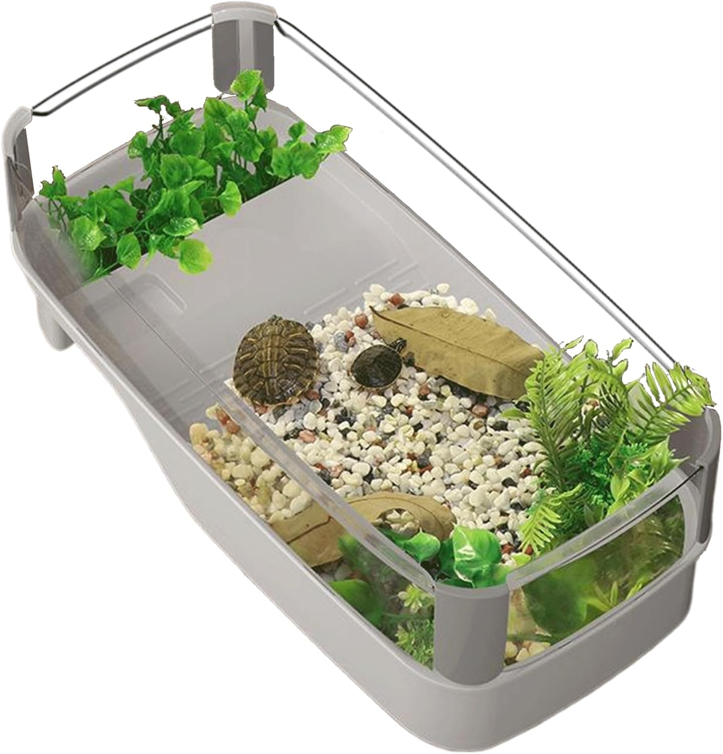 Amazon.com : Fanlahmtasy Small Turtle Tank Kit – Baby Turtle Tank with ...