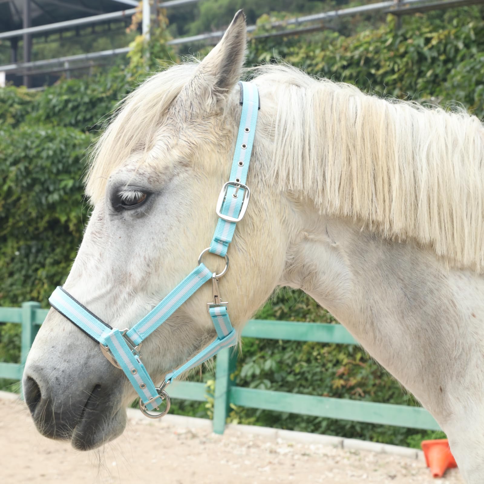Snapklik.com : Gallopoff Adjustable Horse Halters - Heavy Duty Nylon ...