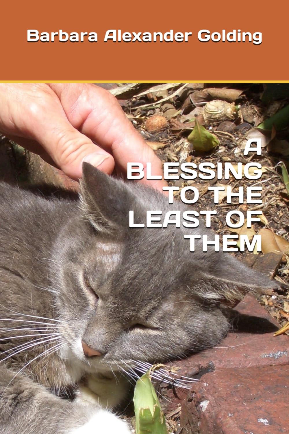 A BLESSING TO THE LEAST OF THEM: Golding, Barbara Alexander, Parker ...