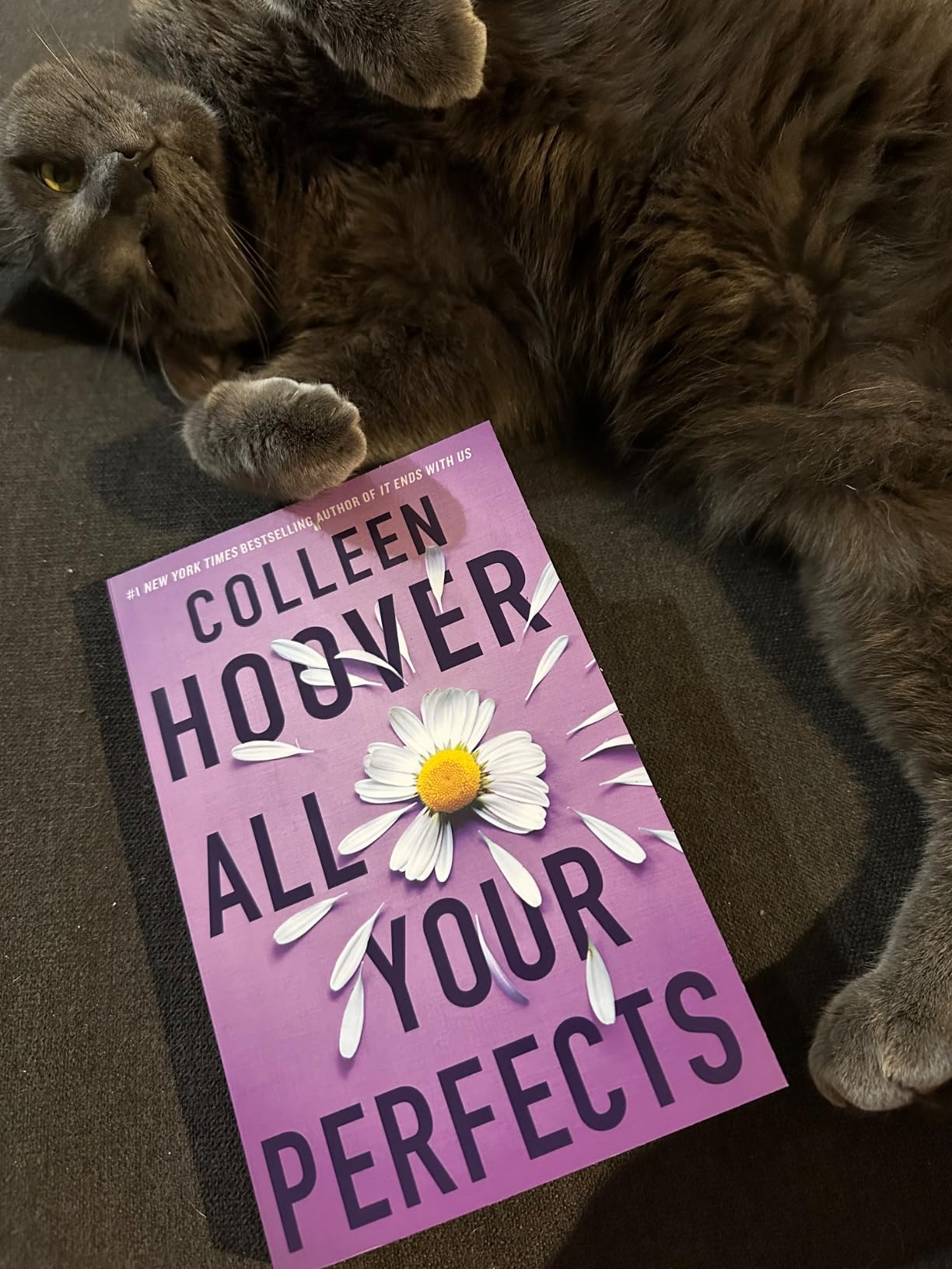All Your Perfects : Hoover, Colleen: Amazon.com.au: Books