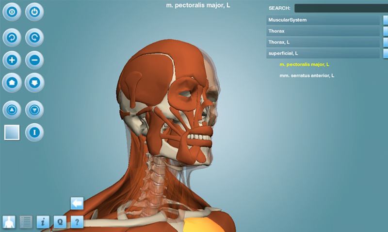 Free Anatomy Apps 3D Anatomy Free App On Amazon Appstore