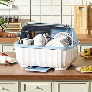 Amazon.com - Dish Drying Rack Plastic Dish Rack for Kitchen Counter ...