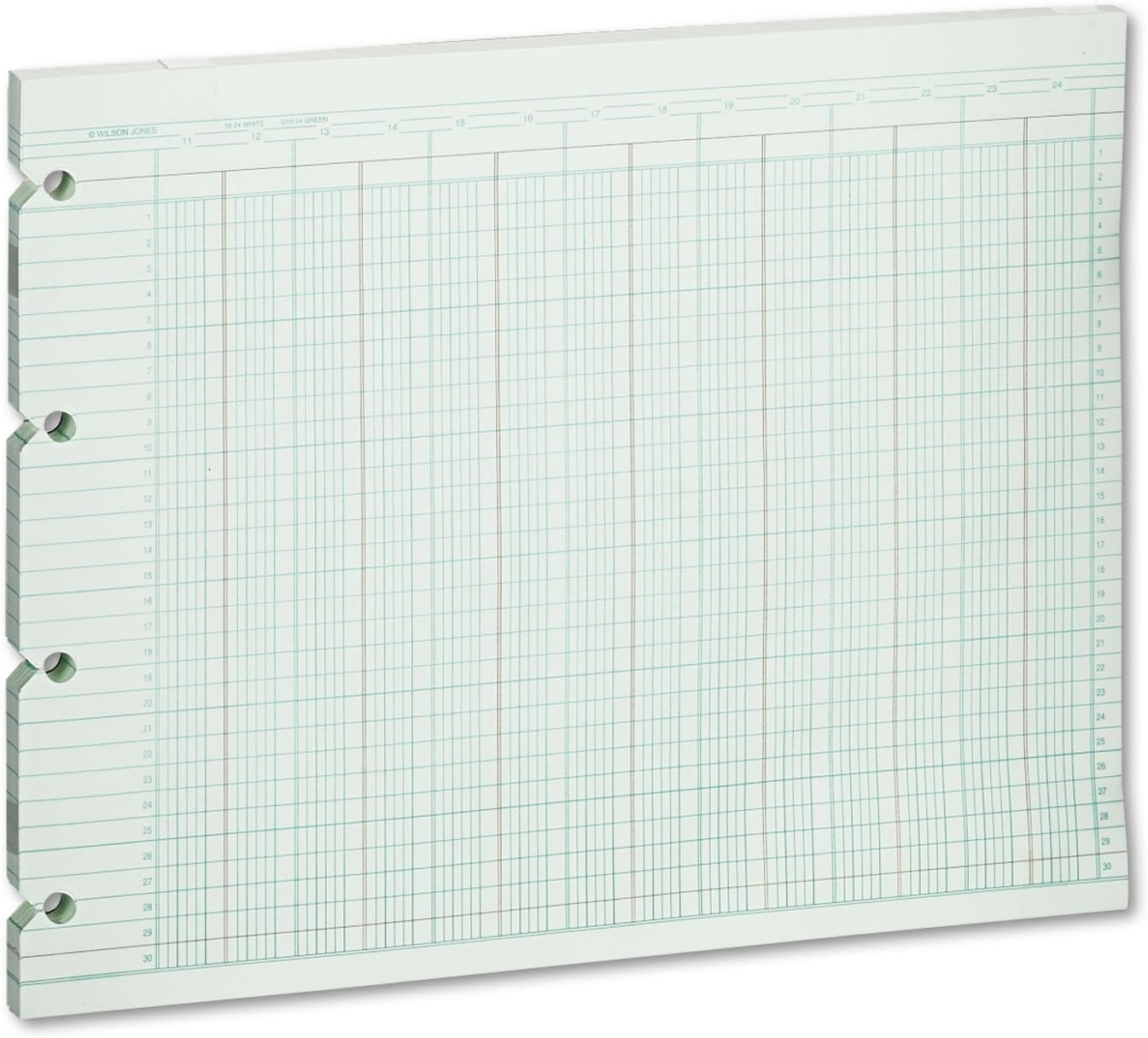 Amazon.com : Wilson Jones WLJG1024 Green Columnar Ruled Ledger Paper ...