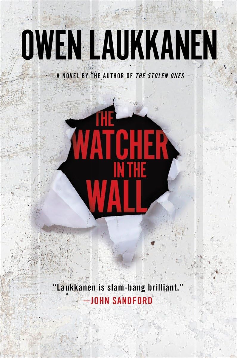Amazon.com: The Watcher in the Wall (A Stevens and Windermere Novel ...