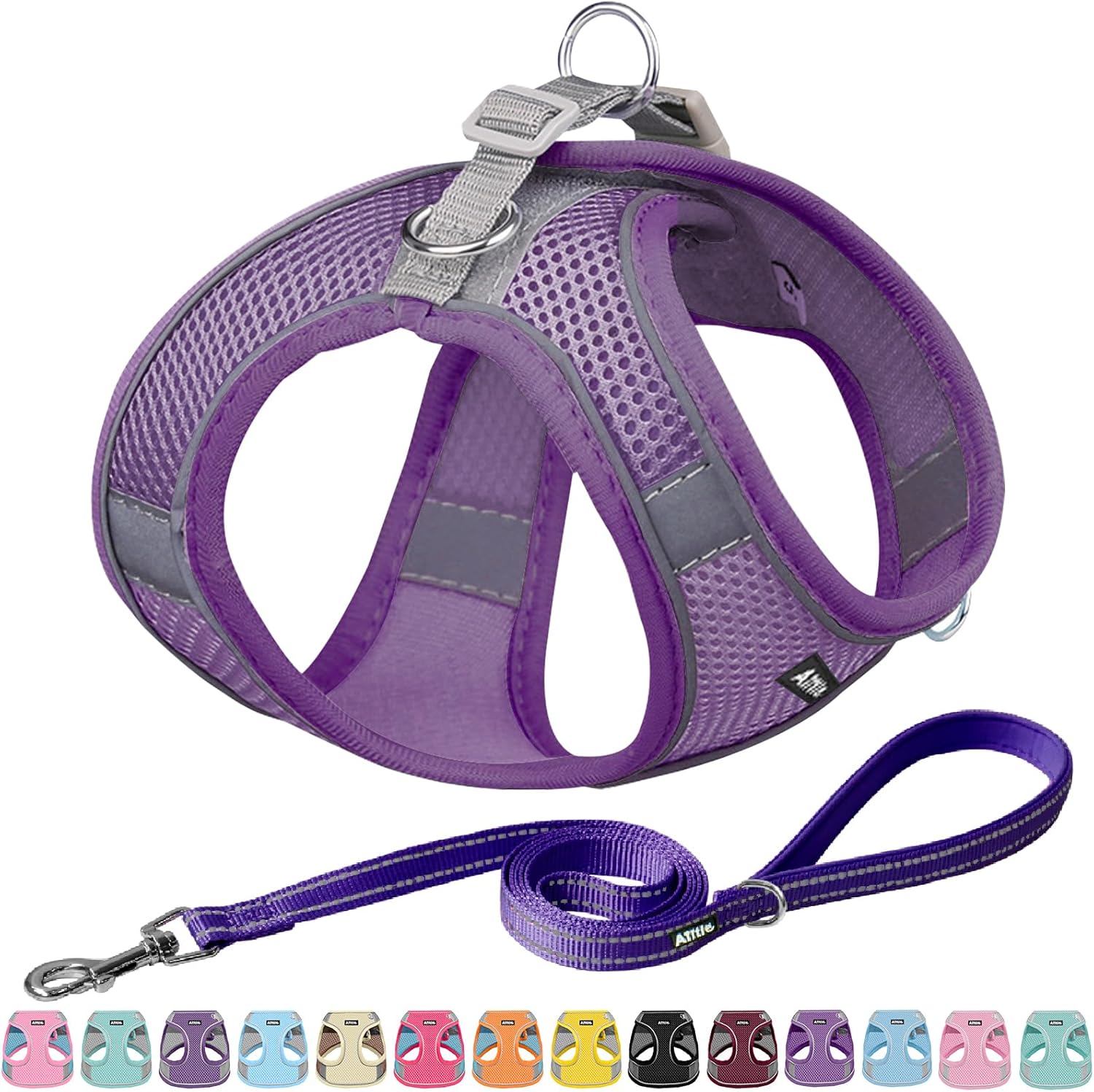 Amazon.com : AIITLE Summer Step in Dog Harness and Leash Set - No Pull ...