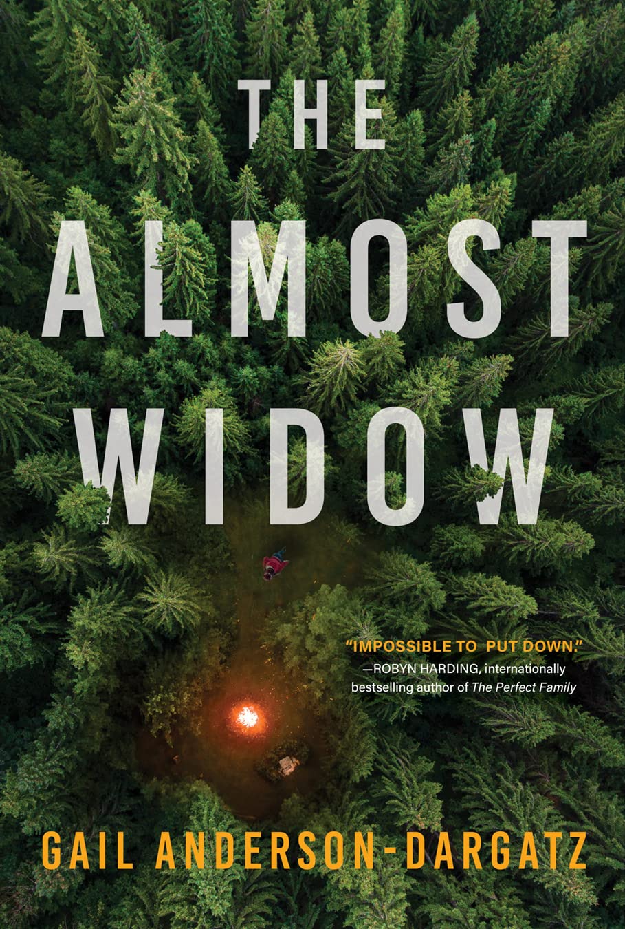Amazon.com: The Almost Widow: A Novel: 9781443464482: Anderson-Dargatz ...