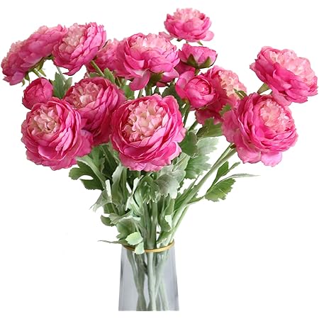 Amazon.com: 6PCS Artificial Ranunculus Flowers with Real Touch Stem ...