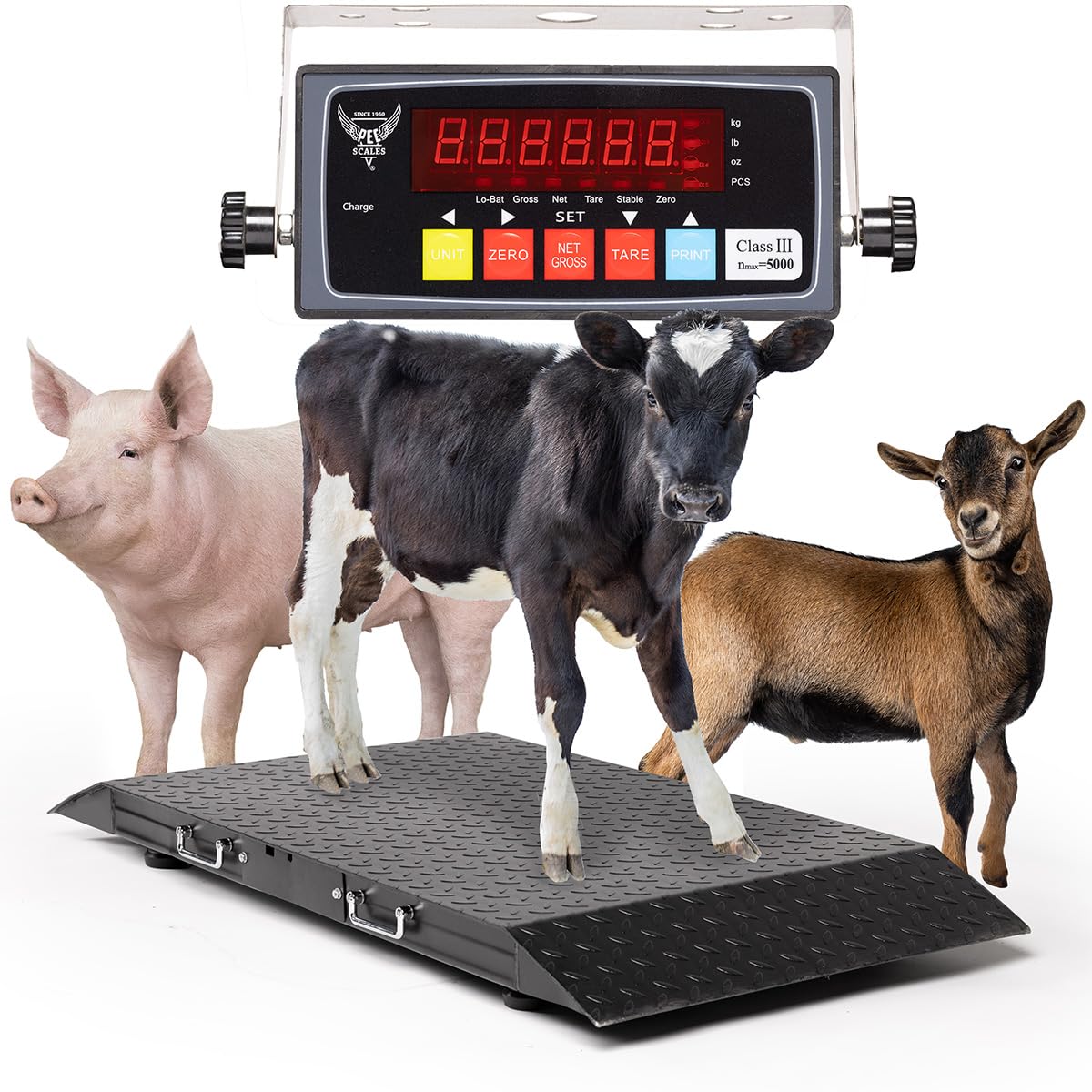 Medium Livestock Scale/Farm Animal Weighing Philippines | Ubuy