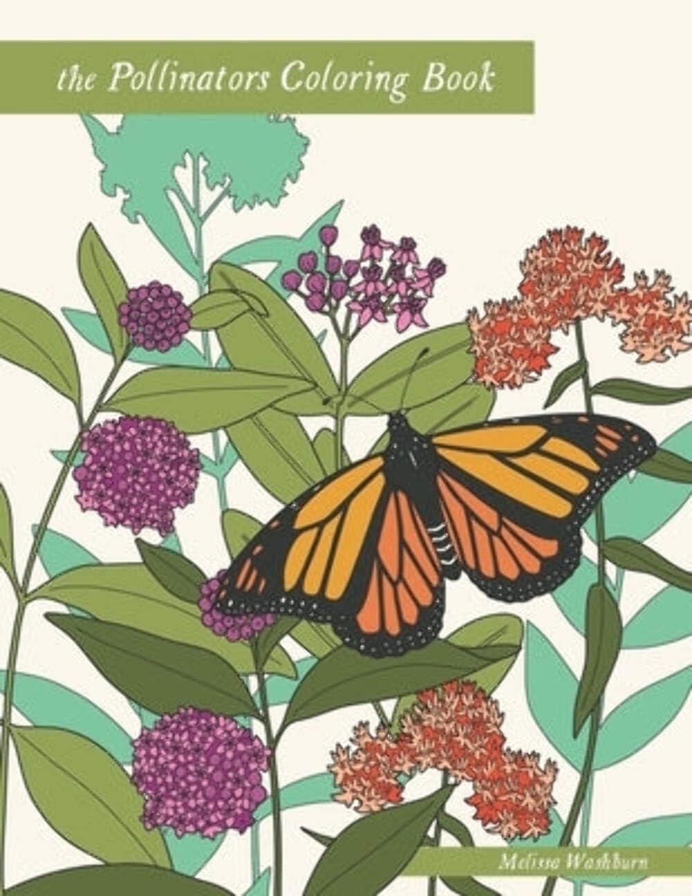 Amazon.com: The Pollinators Coloring Book: 21 North American Birds ...