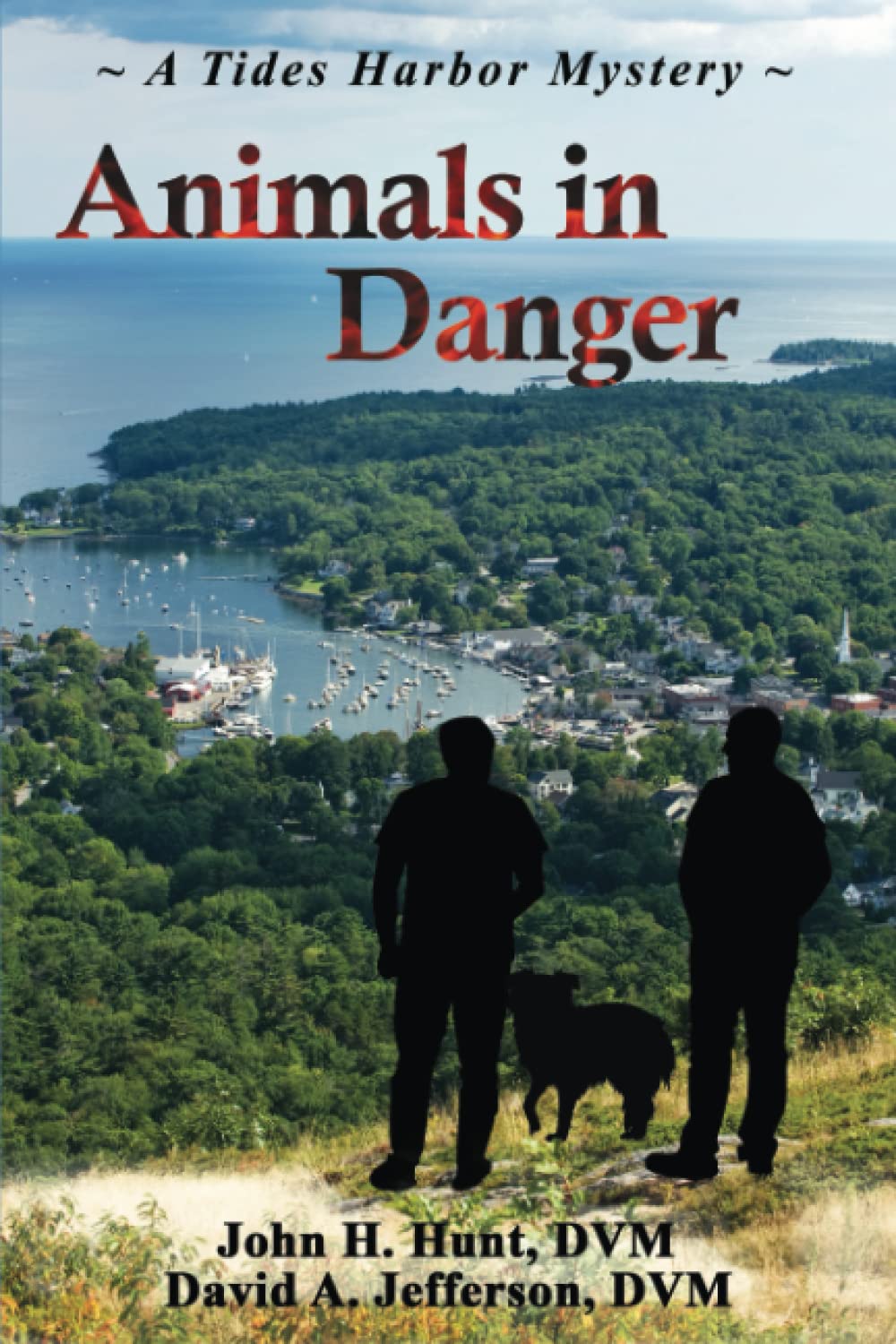 Amazon.com: Animals in Danger: A Tides Harbor Mystery: 9798370674075 ...