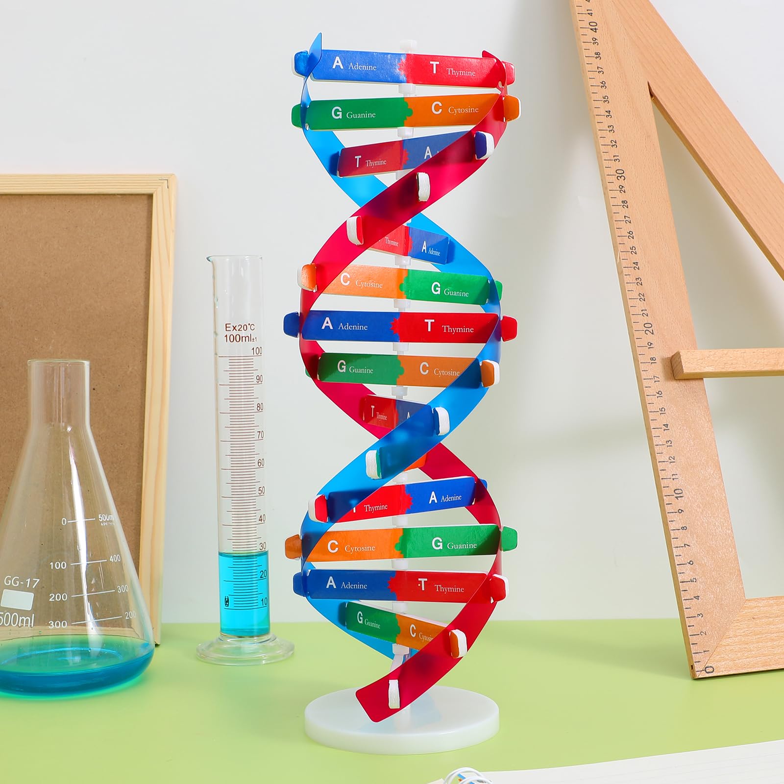 Dna Structure 3d Project