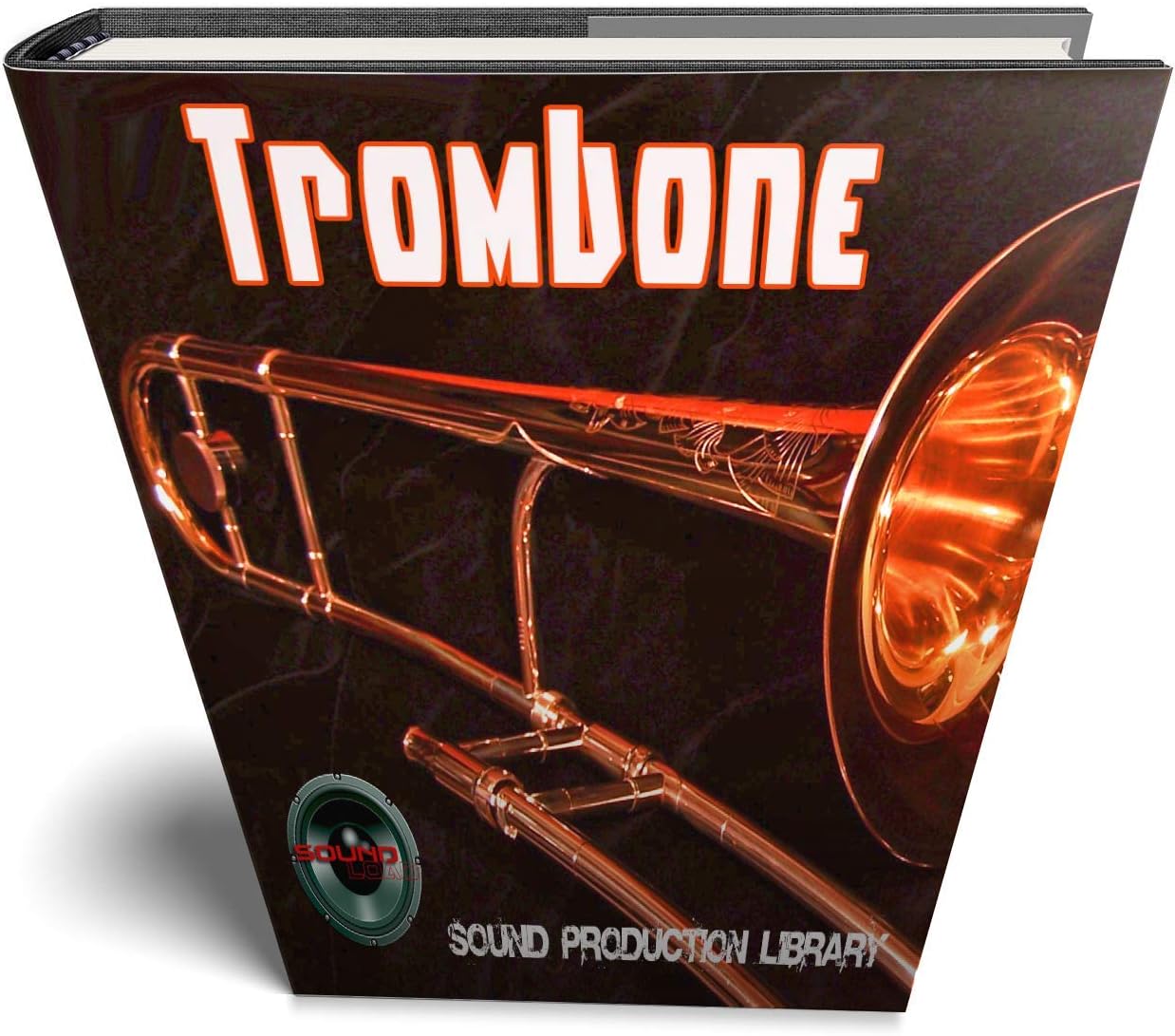 Amazon.com: Trombone Real - Large original 24bit WAVE/Kontakt Samples ...