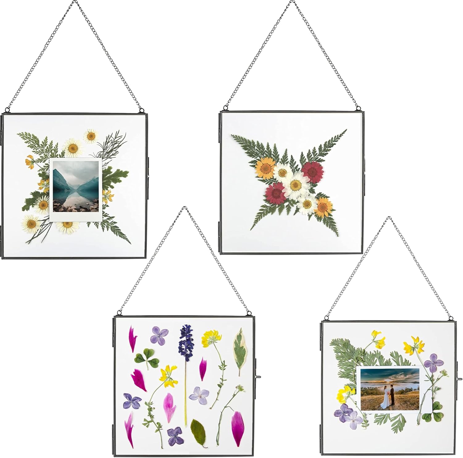 Amazon.com - Double Glass Wall Frame Bundle – Set of 4 Hanging Frames ...