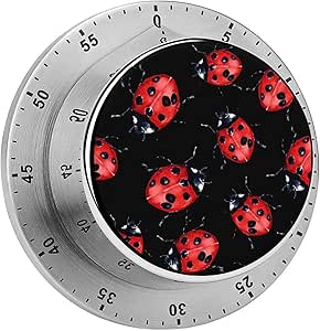 Ladybug And Ladybird Pattern Mechanical Stainless Steel Timer, 60 ...