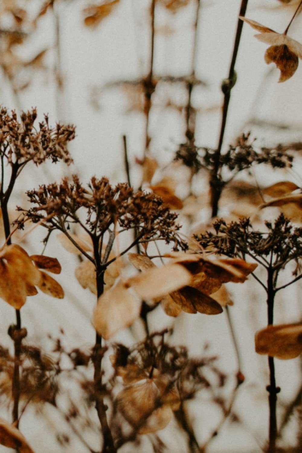 Residential Building Inspection Maintenance Book, 120 Checklist Pages ...