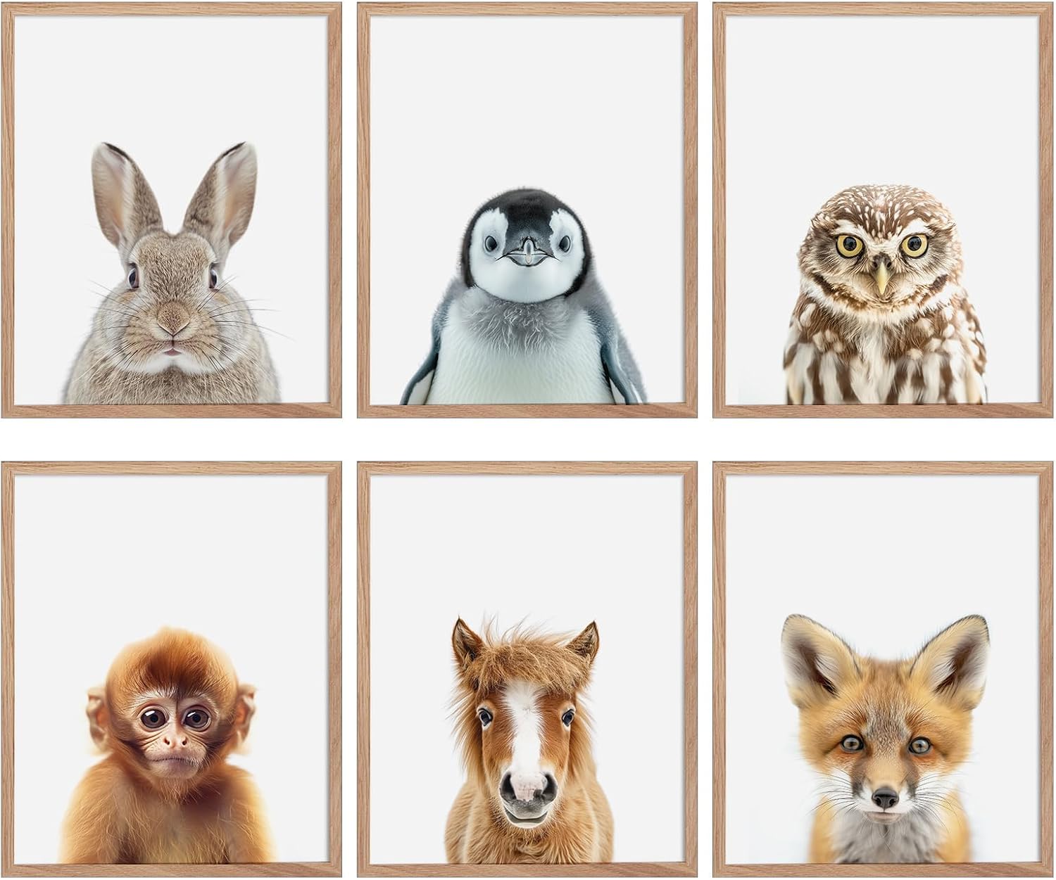Amazon.com: Animal pictures wall art,kids room wall decor,nursery decor ...