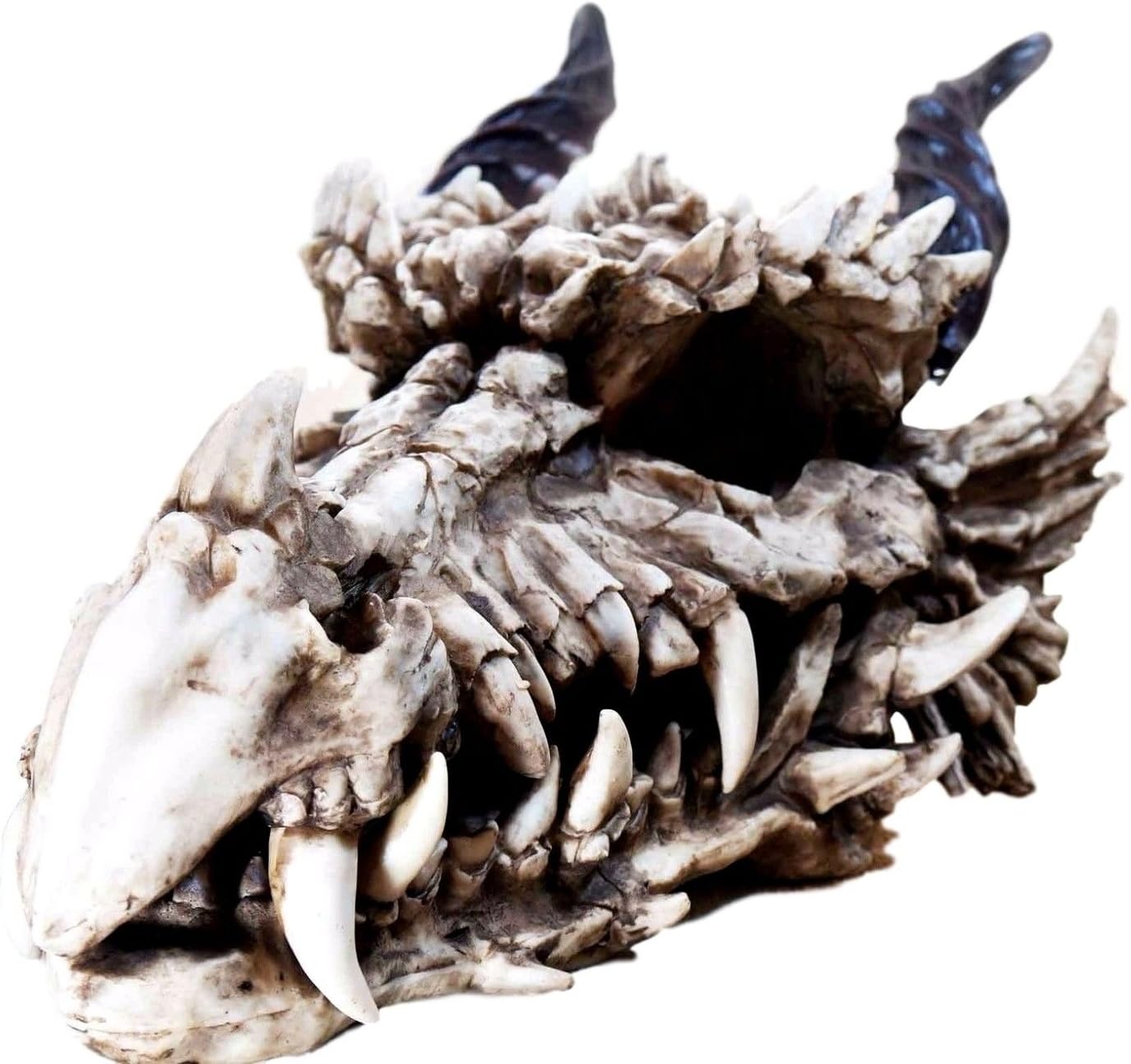 Large Dragon Skull Resin and Hand Painted Statue : Amazon.ca: Home