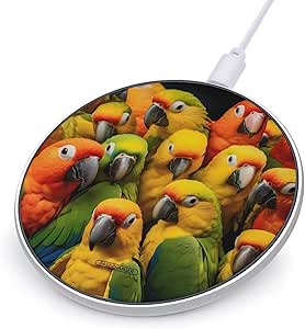 Amazon.com : Conures Funny Charger Pad 10W Max Fast Charging Mat Custom ...