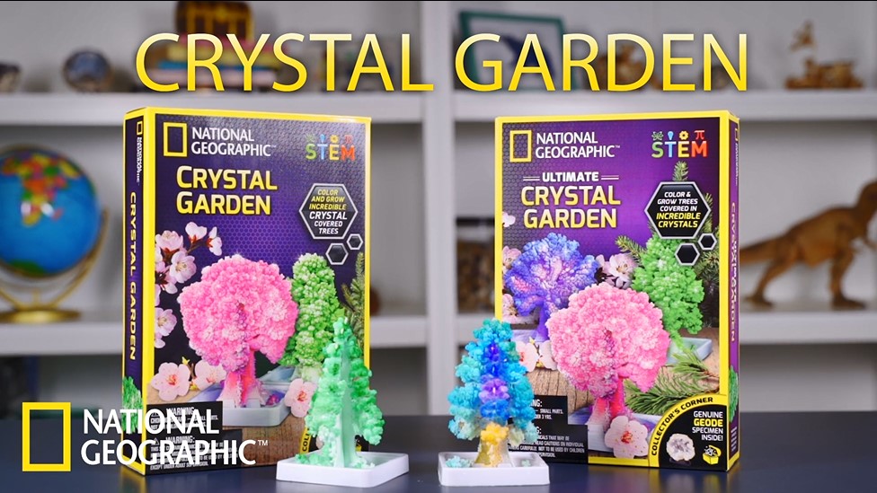 Watch NATIONAL GEOGRAPHIC Crystal Garden Growing Kit for Kids on Amazon ...