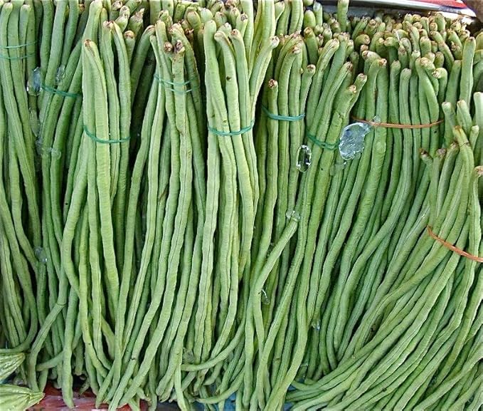 Chillatai® Long Vraiety Karamani Seeds, Long Variety Thatta Payaru ...