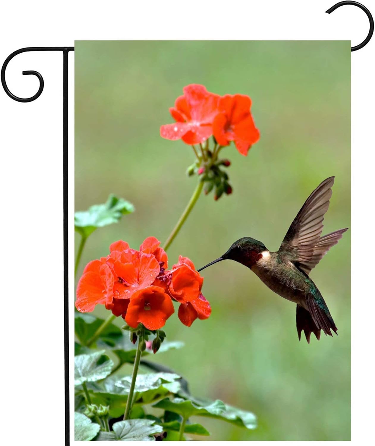 Amazon.com : ShineSnow Hummingbirds Birds Spring Summer Red Flowers ...