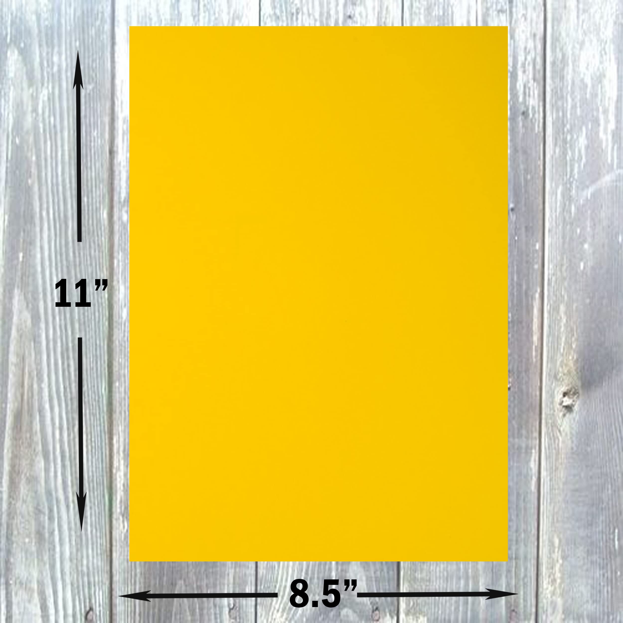 Snapklik.com : Colored Cardstock Scrapbook Paper 8.5" X 11" Sunflower ...