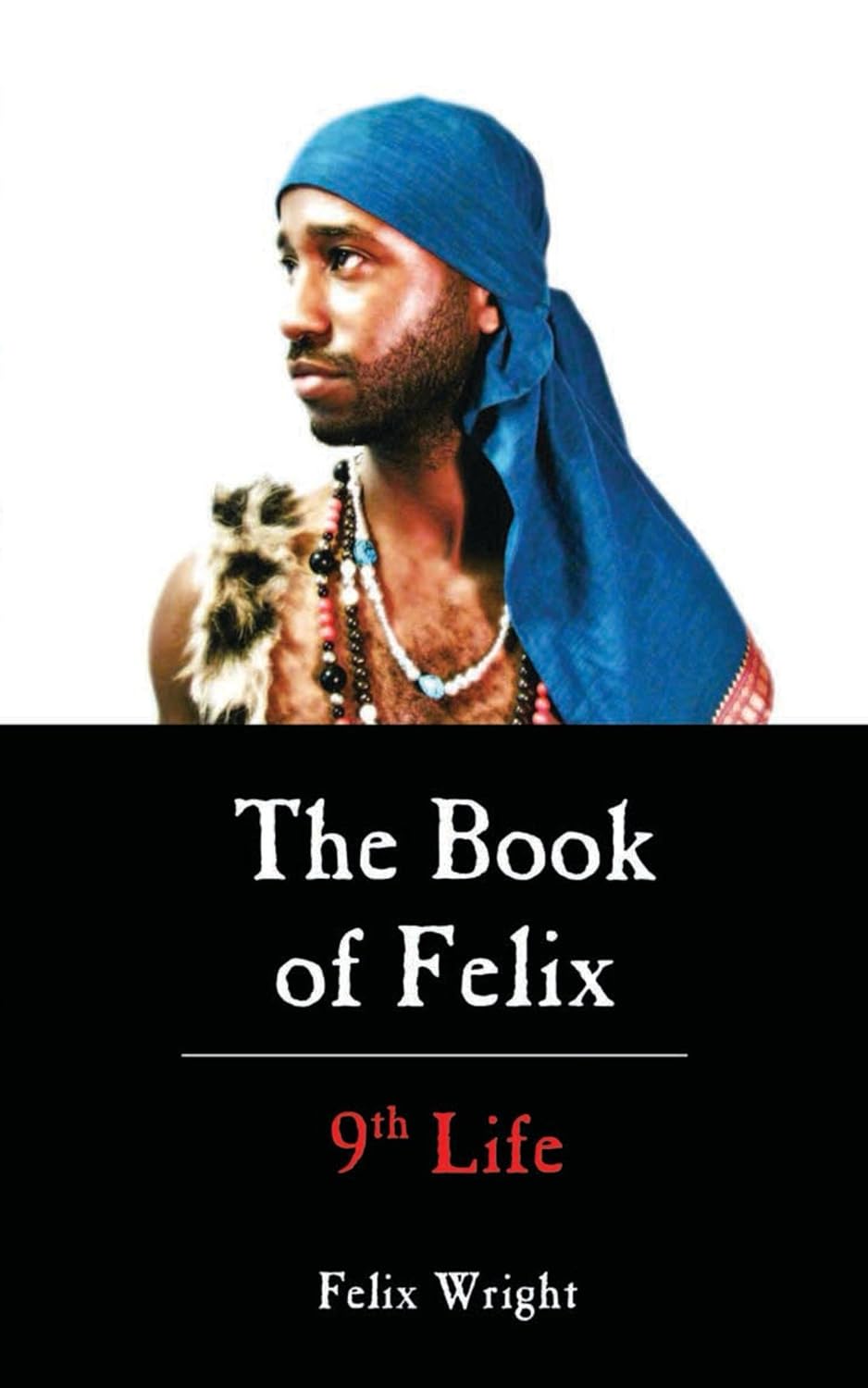 The Book of Felix: 9th Life - Kindle edition by Wright, Felix. Religion ...
