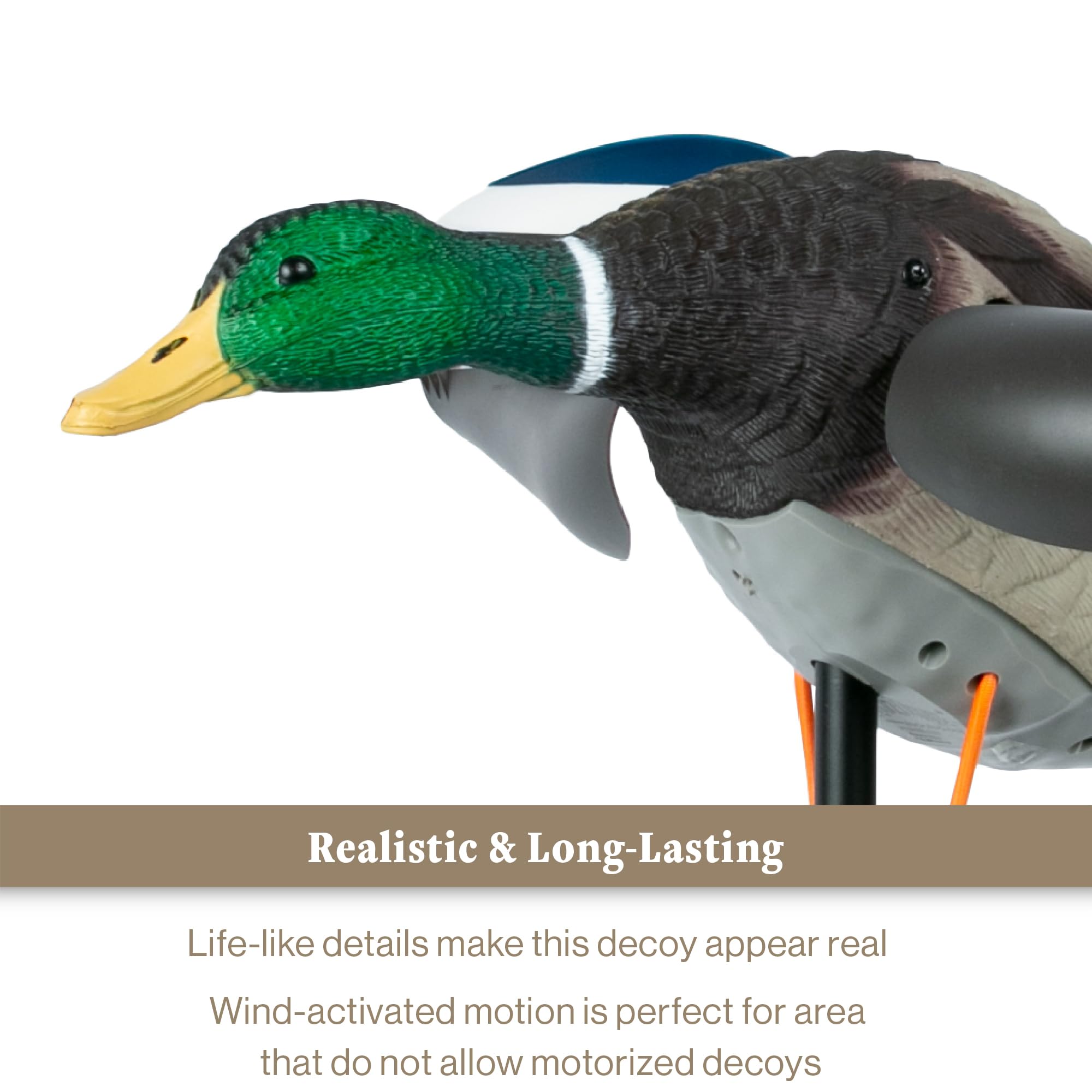 Snapklik.com : Lucky Duck Spinning Wing Motion Duck Decoys For Hunters