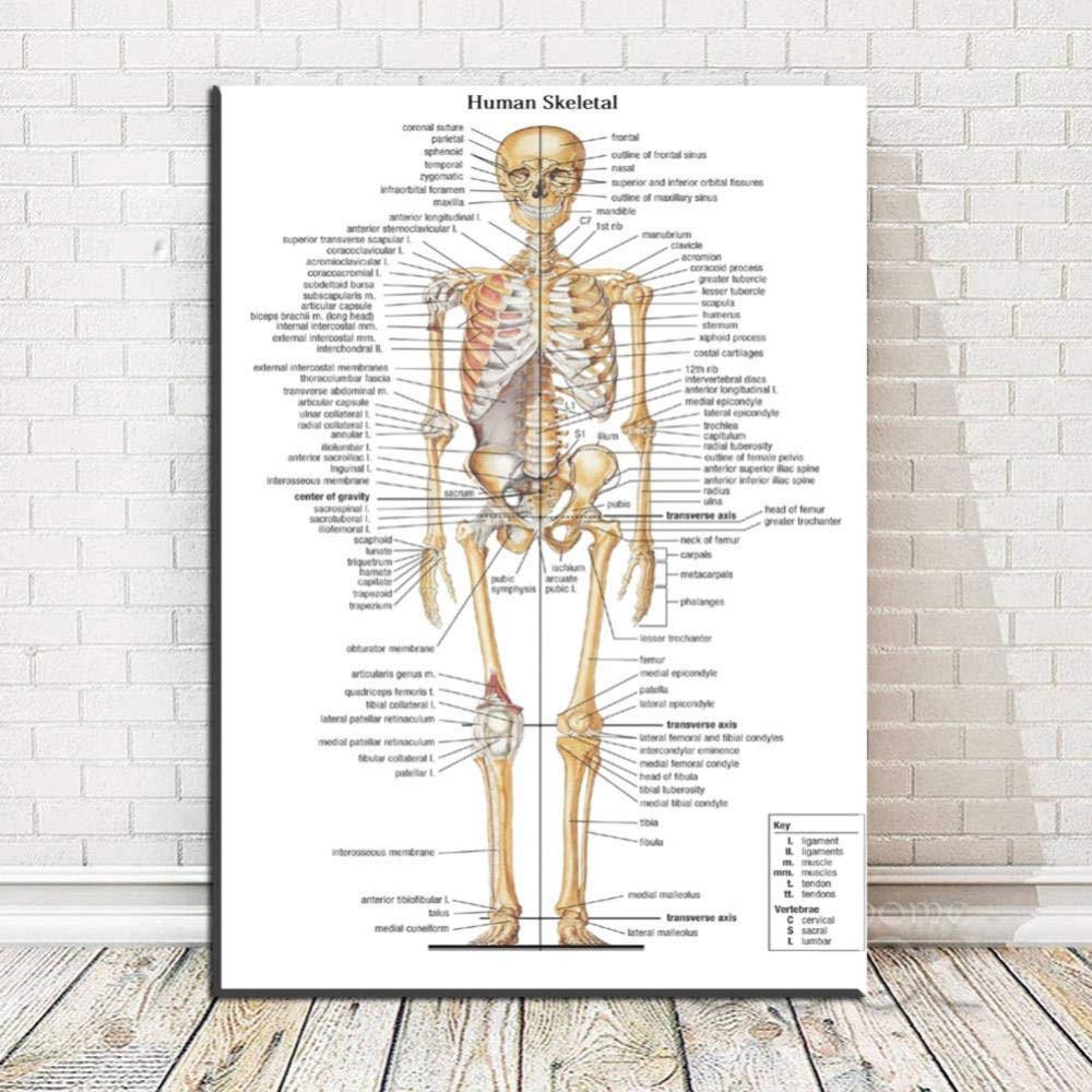 Mappa Della Costa Scheletrica