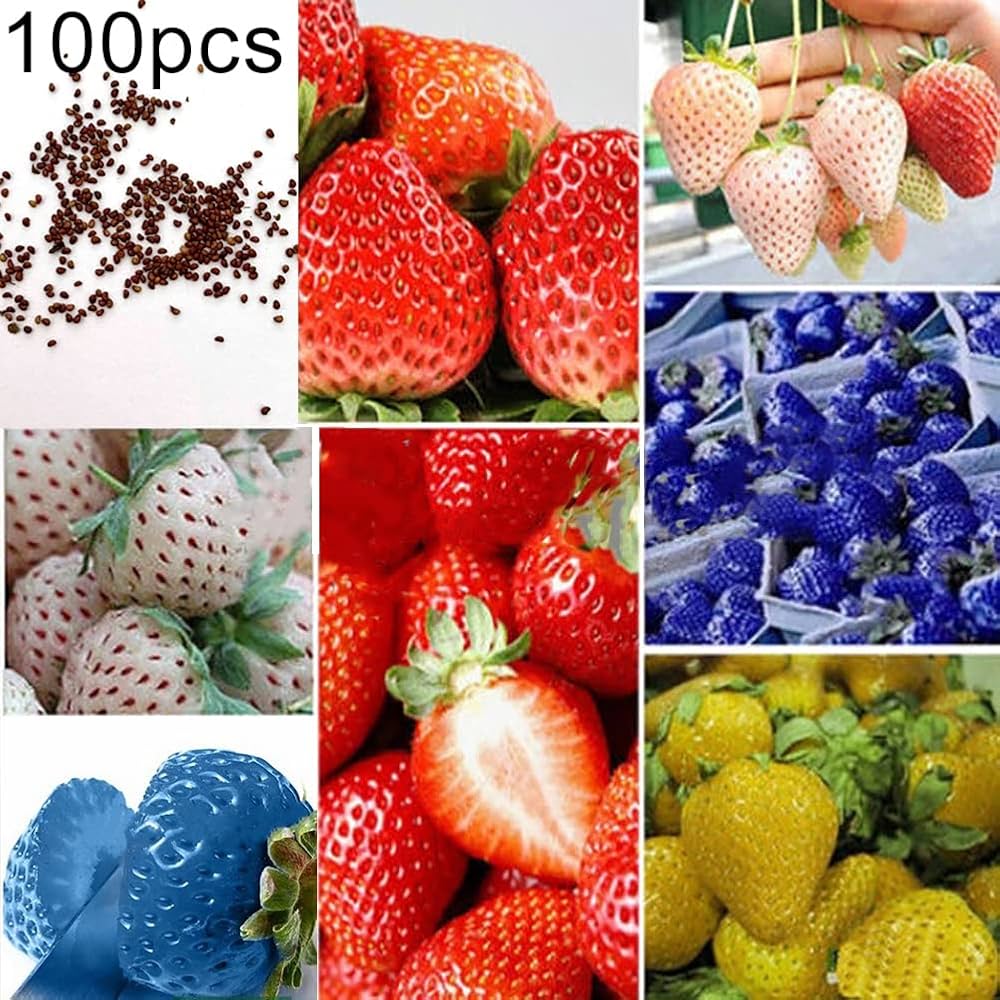 Paquetes De Semillas De Fresa