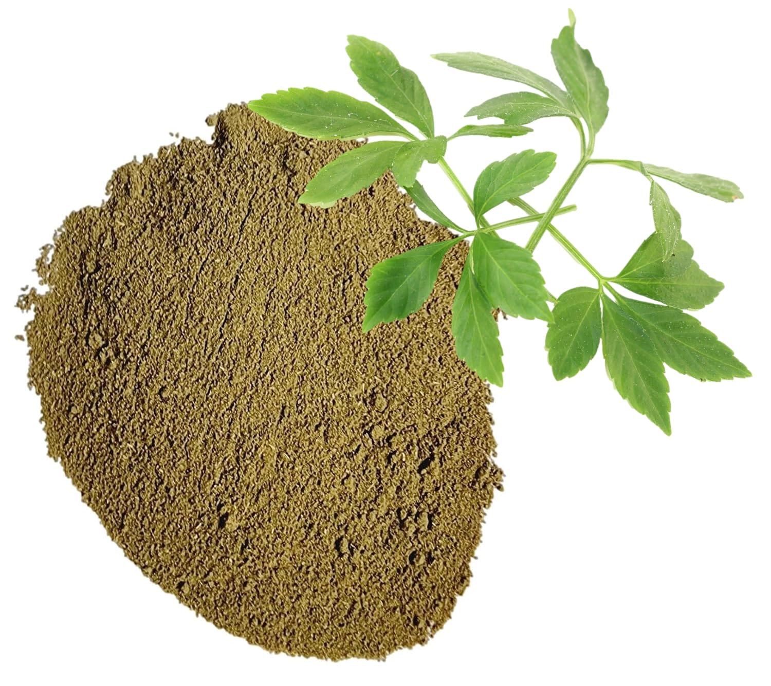 Amazon.com : Jiaogulan Powder, Made From 100% Gynostemma Pentaphyllum ...