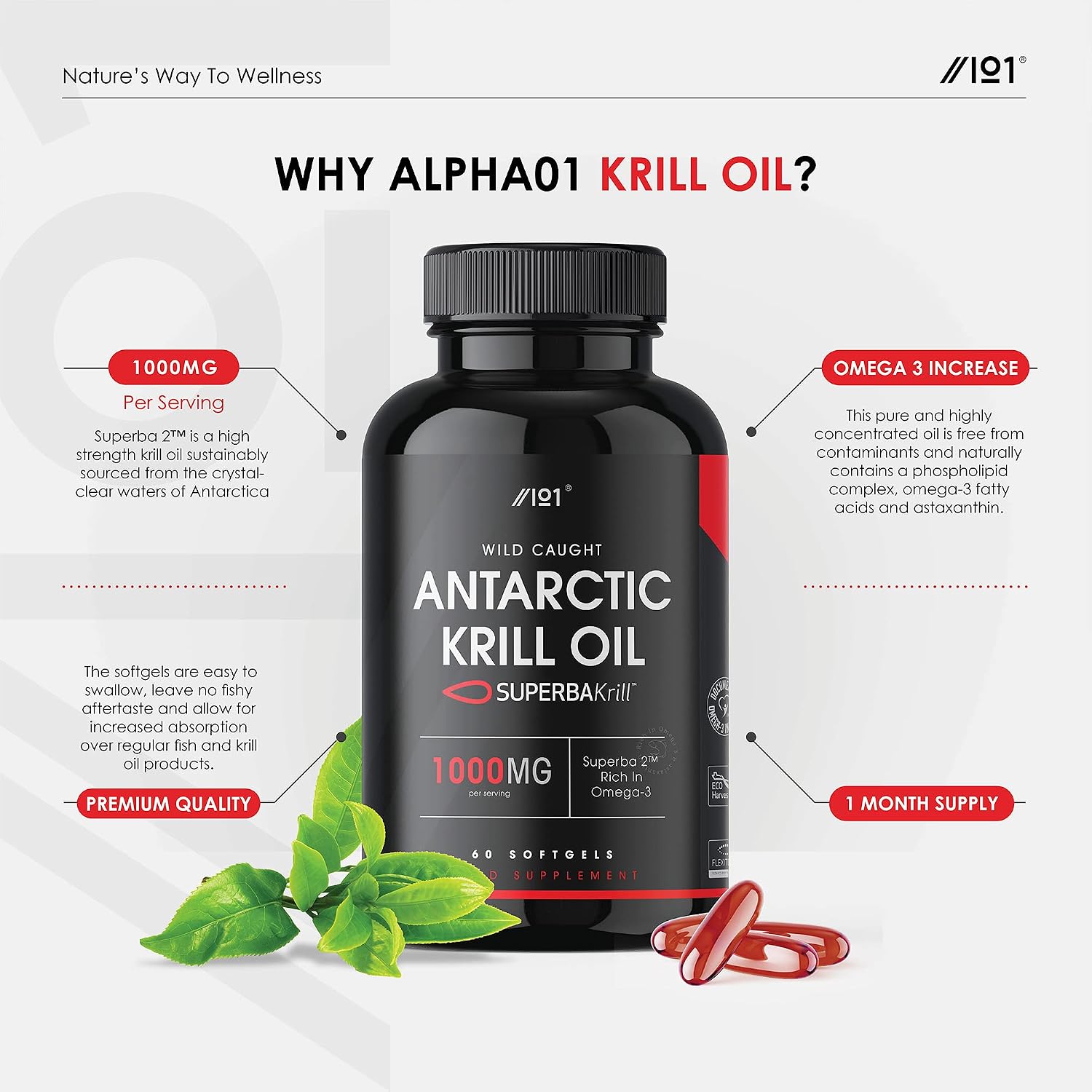 Superba-2™ Antarctic Krill Oil – 1000mg Per Serving – with Omega-3s EPA ...
