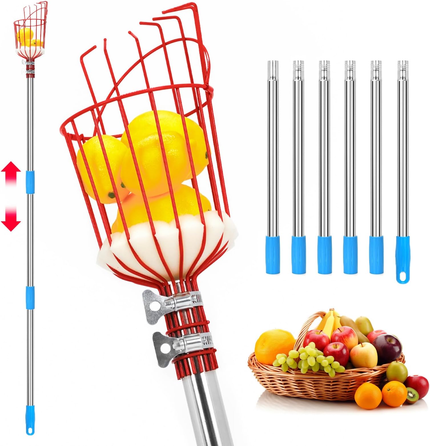 Amazon.com : Omninmo Pomelo Fruit Picker Pole Tool with Basket ...